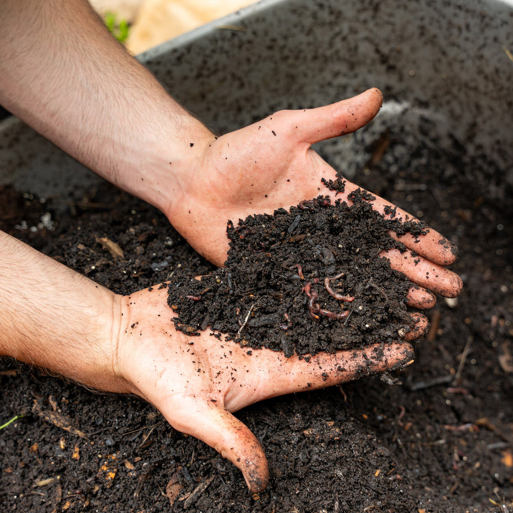 Salem Soil Solutions